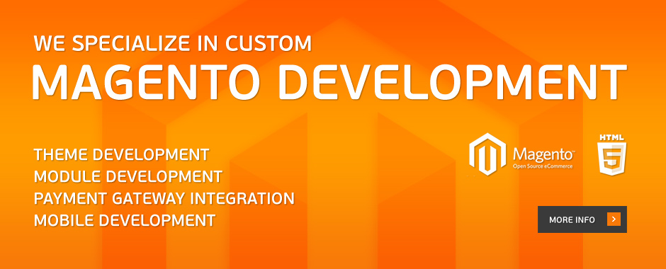 Magento E-commerce Company, Magento Development, Magento customization